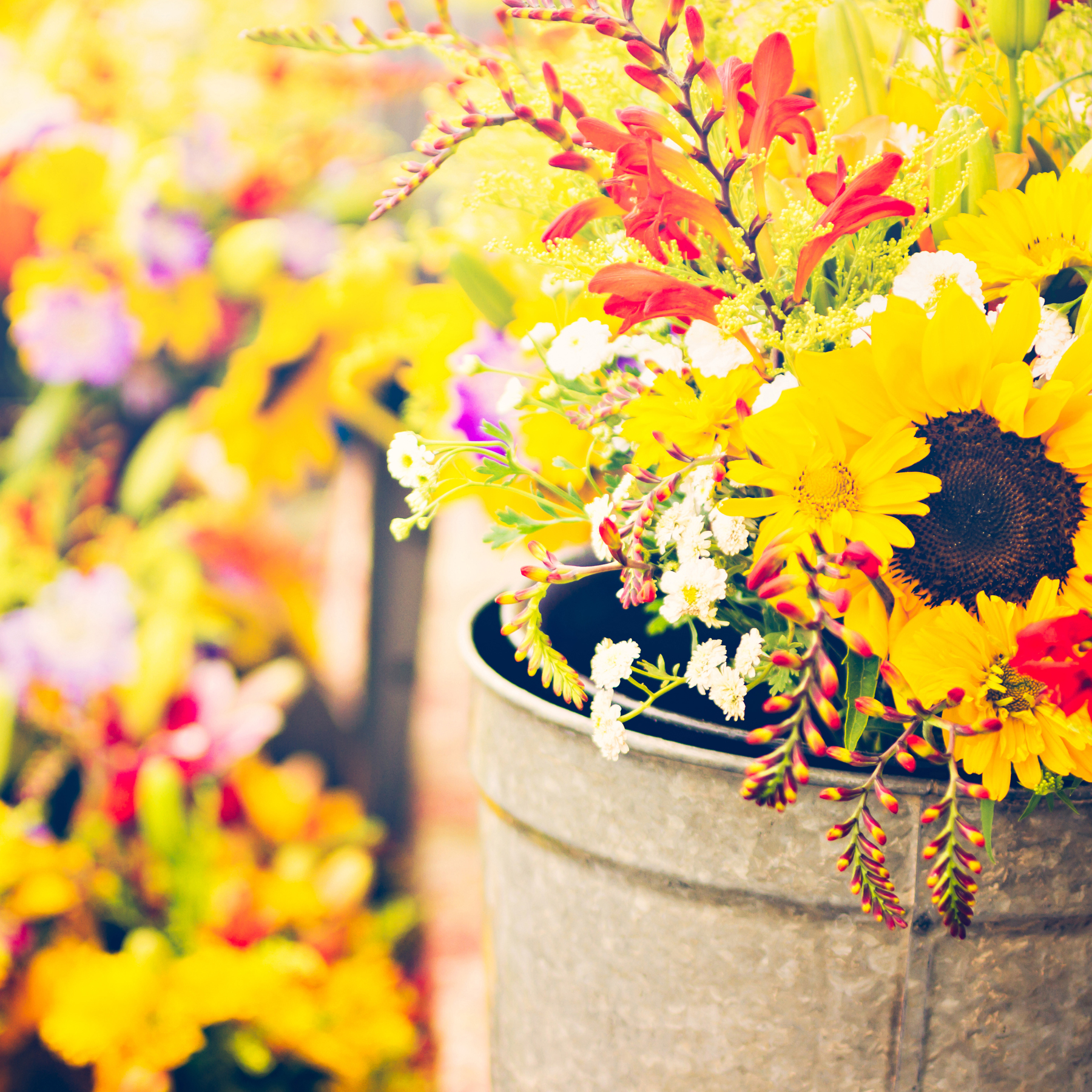 The Flower House Garforth Leeds Order Online 0113 287 2772